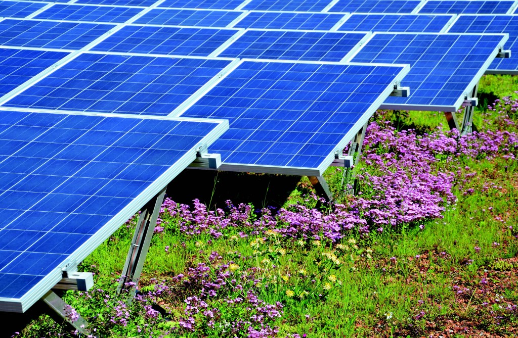 Bauder BioSOLAR - Specification Product Update